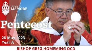Live Catholic Mass Pentecost Sunday 31 May 2020 Bishop Greg Homeming Lismore Diocese Australia ...