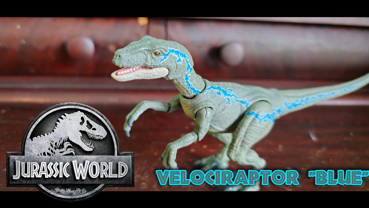 Jurassic World Hammond Collection Velociraptor "Blue" Review - YouTube