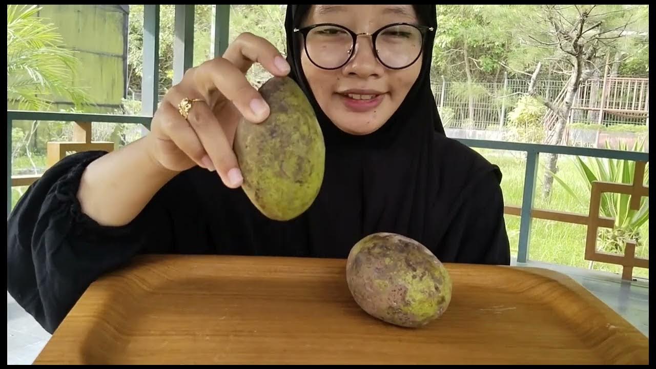 Pertama kali coba buah wani/wanyi mirip buah mangga - YouTube