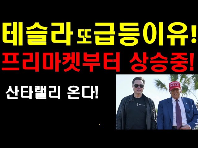 테슬라 또 급등 이유 프리마켓부터 상승중 자율주행 출시 기대감 덴아이브즈 산타랠리가 온다 기술주와 테슬라의 황금기가 온다