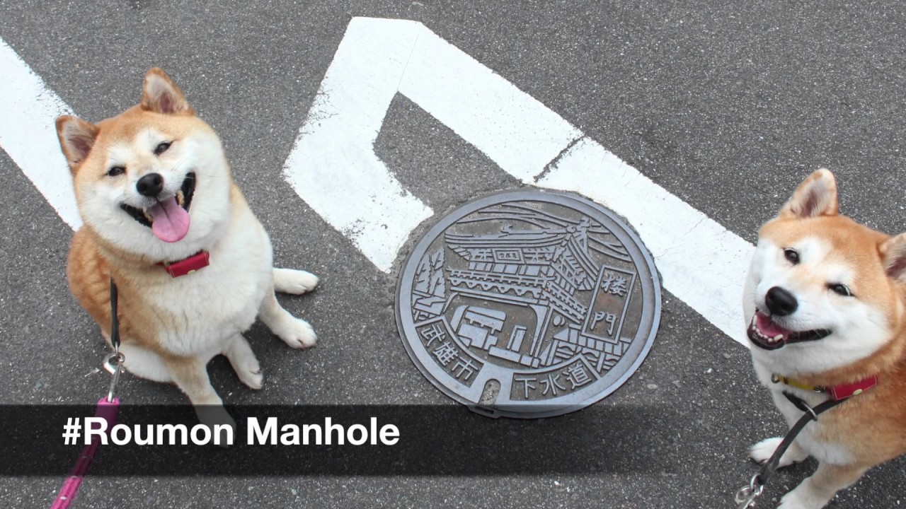 The Roumon GO！！ - YouTube