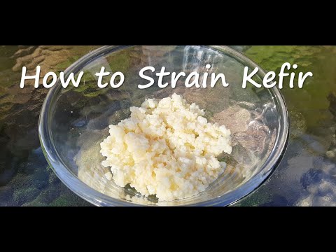 How to Strain Kefir - YouTube