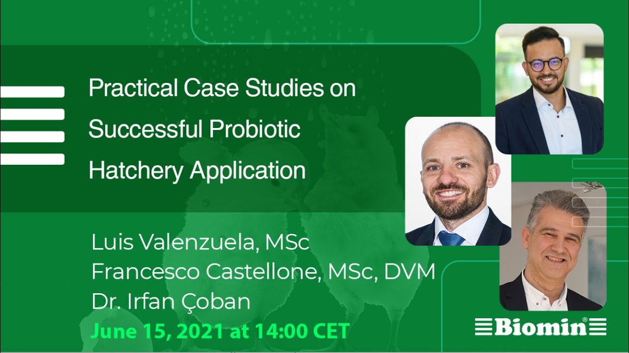 Practical Case Studies on Successful Probiotic Hatchery Application ...