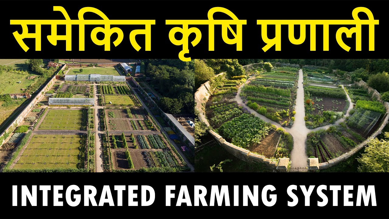 Integrated Farming System Model (Hindi Video) | Integrated Farming In ...