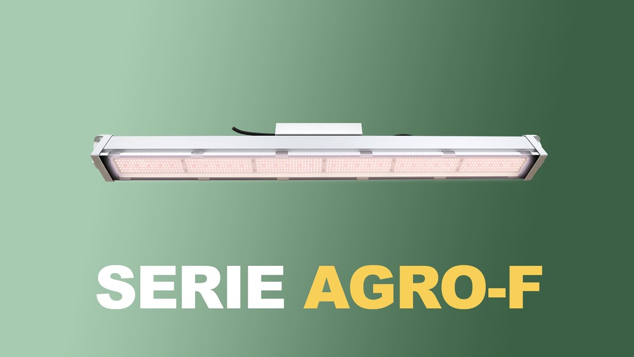 Proyector LED indoor serie AGRO-F para cultivo de Cannabis medicinal ...