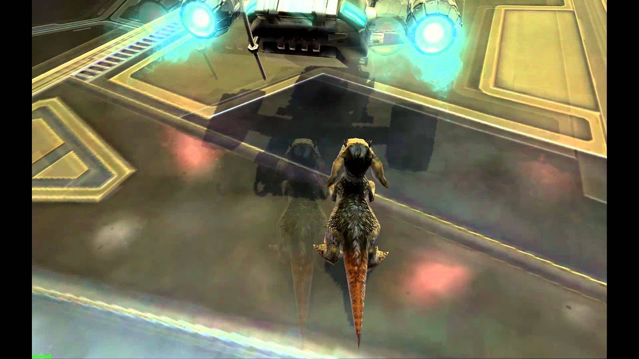 SWTOR - New pet "Chocotaunta" aka Taunta - YouTube