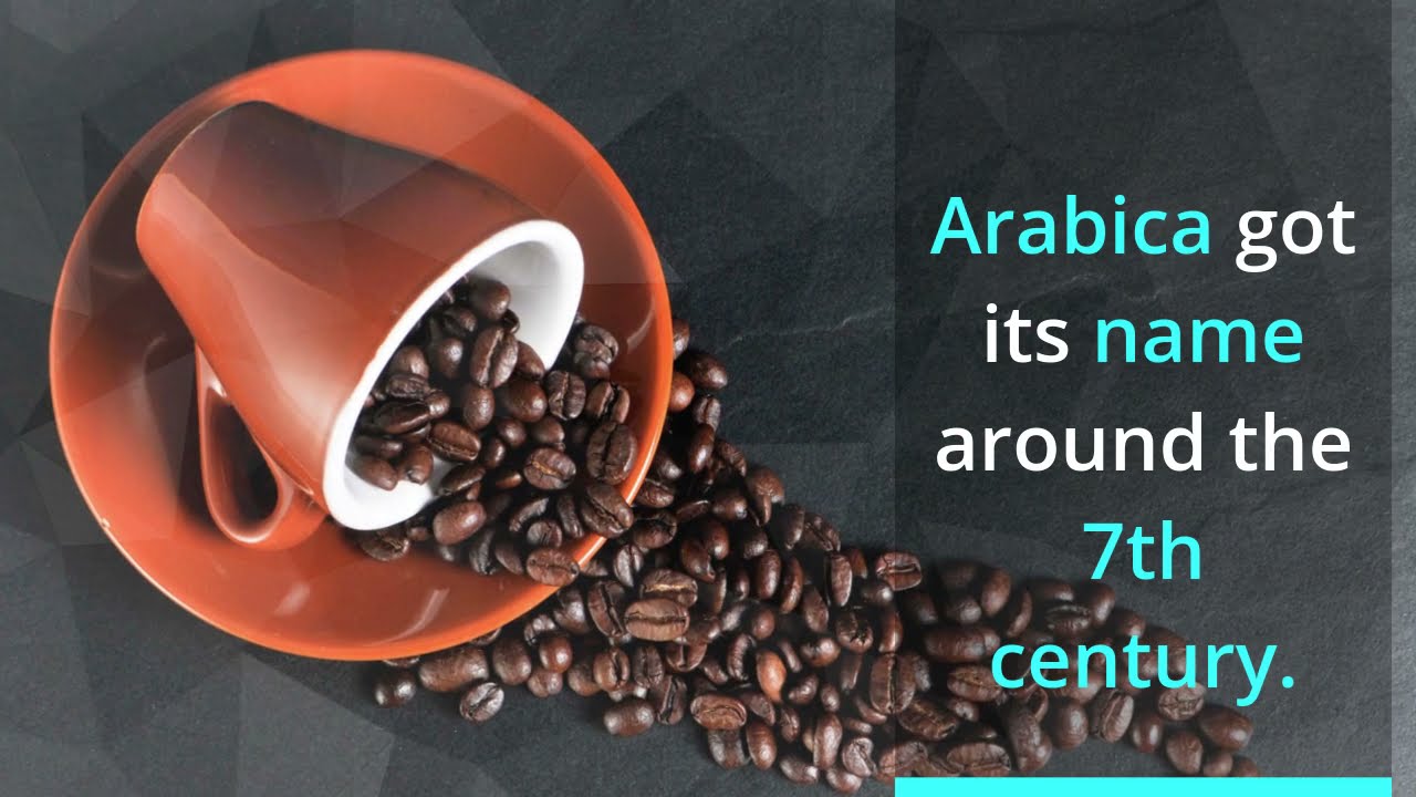 Arabica Coffee history, The Real Story of your Dear Beans - YouTube