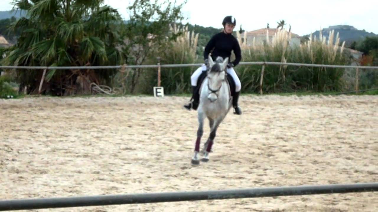 Galop 6 dressage - YouTube