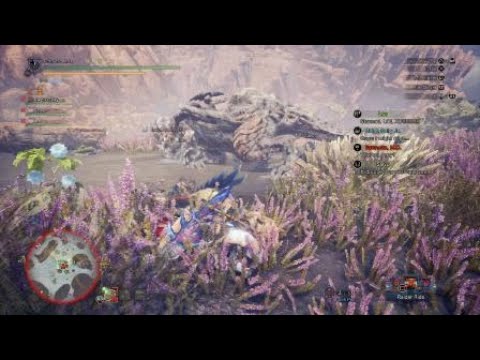 Paratoad Paralysis - Monster Hunter World: Iceborne - YouTube