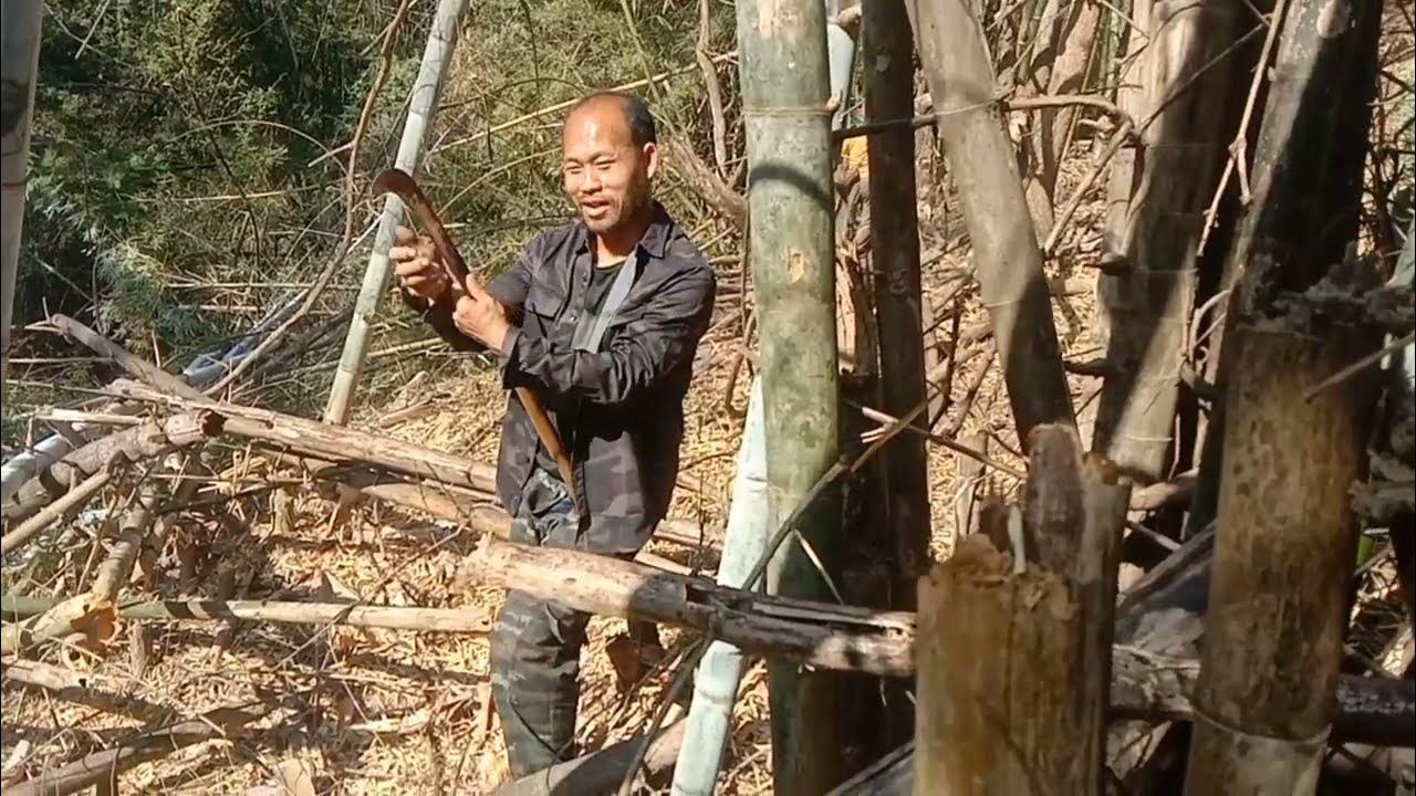 hnub no noj tshais tas mus luaj teb duab,11,2,2025 - YouTube