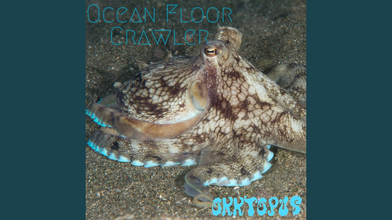 Ocean Floor Crawler - YouTube