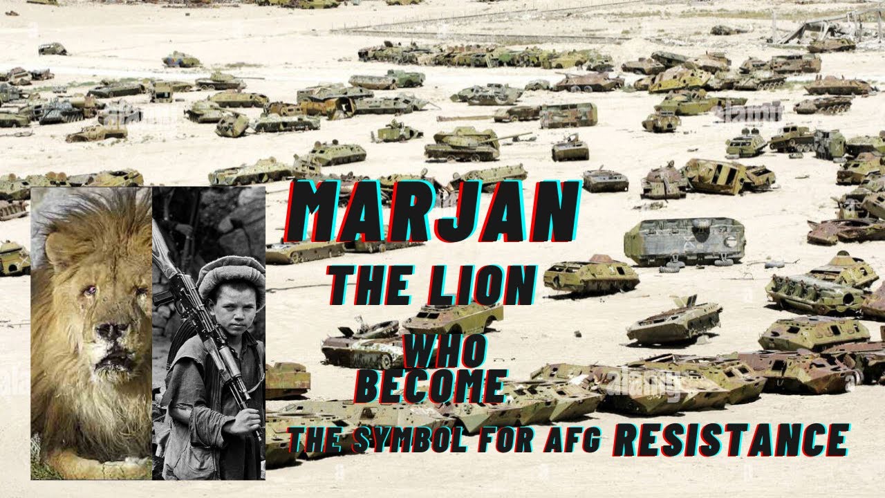 MARJAN .An interesting story of a lion who become the symbol for ...