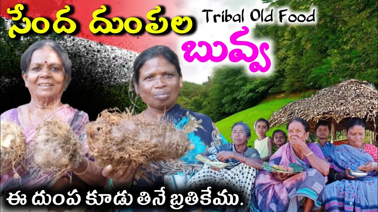 అడవిపందులు కూడాతినని సేంద దుంపలతో బువ్వ వండి తిన్నాం|Primitive food of ...