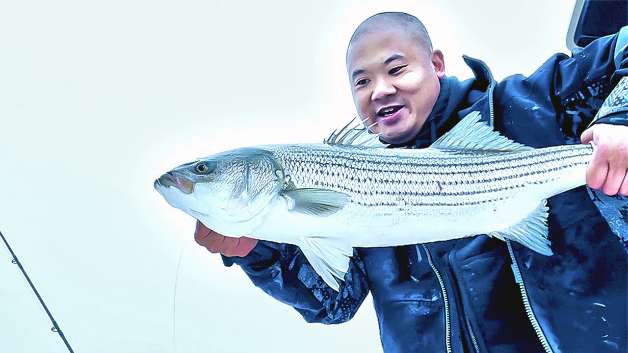 Catch and Cook Adventure Time - Fishing in New York - YouTube