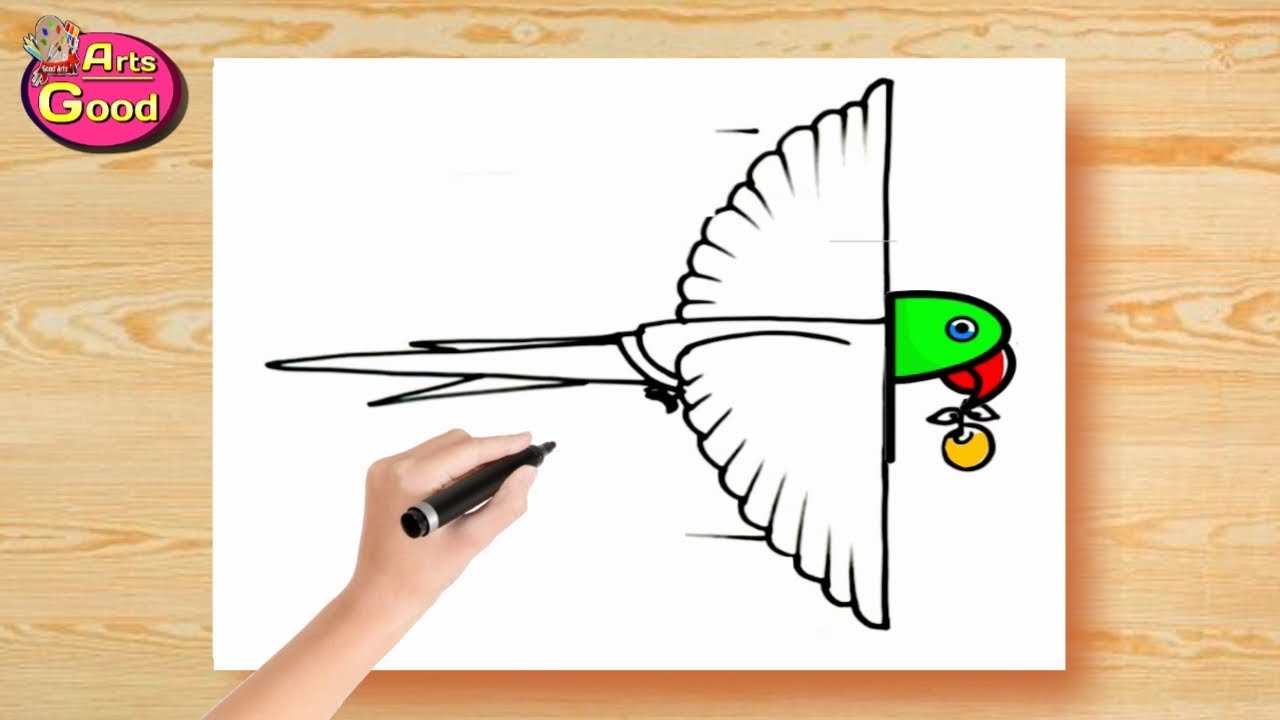 How to draw Parrot From Letter P | Easy Bird Parrot Drawing Tutorial ...