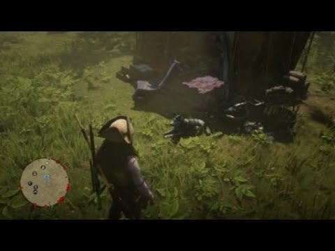 Red Dead Redemption 2_ husky - YouTube