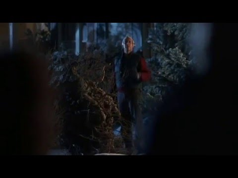 Where you gonna put a tree that big?  [Christmas Vacation]
