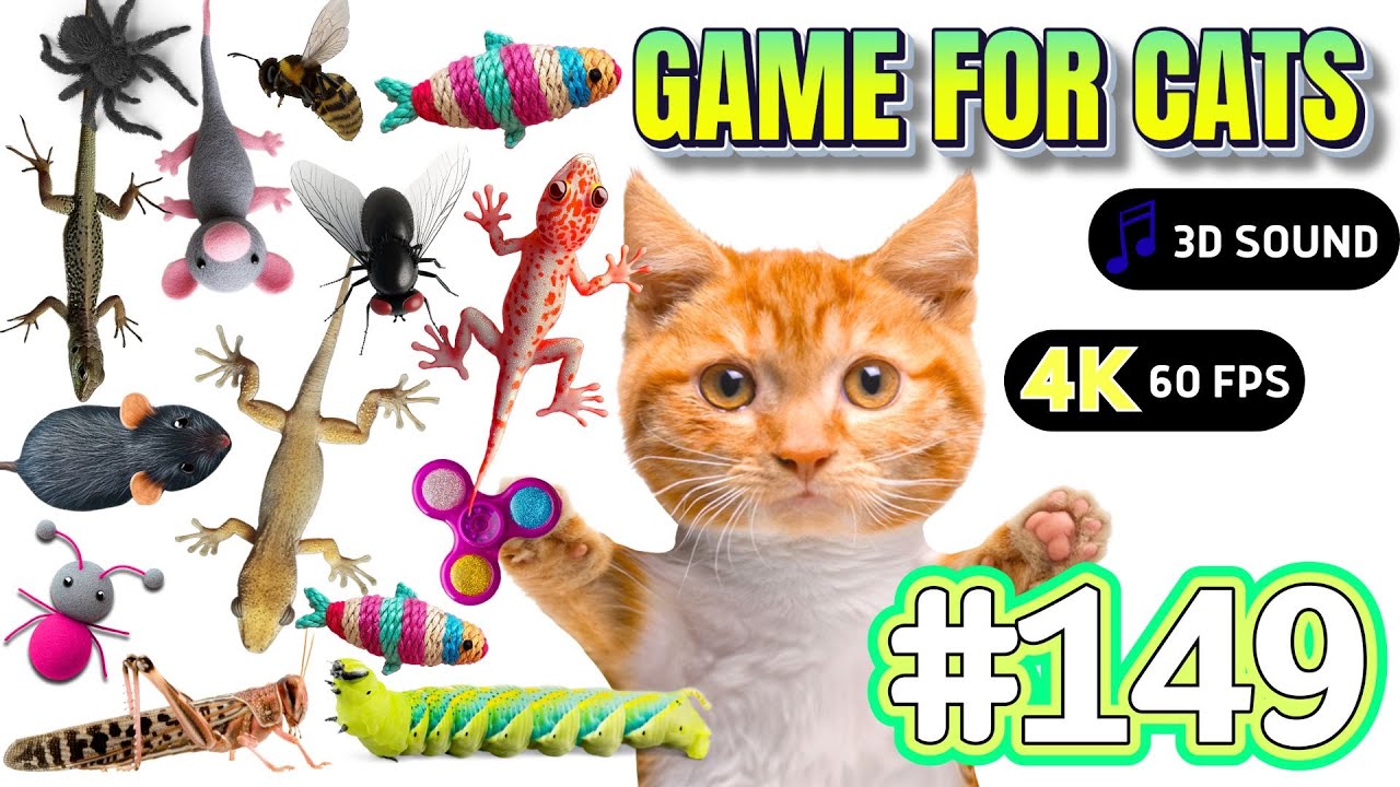 Cat Game - Ultimate Cat Toy Compilation For Cats To Watch #149🦎Lizards🦎 ...