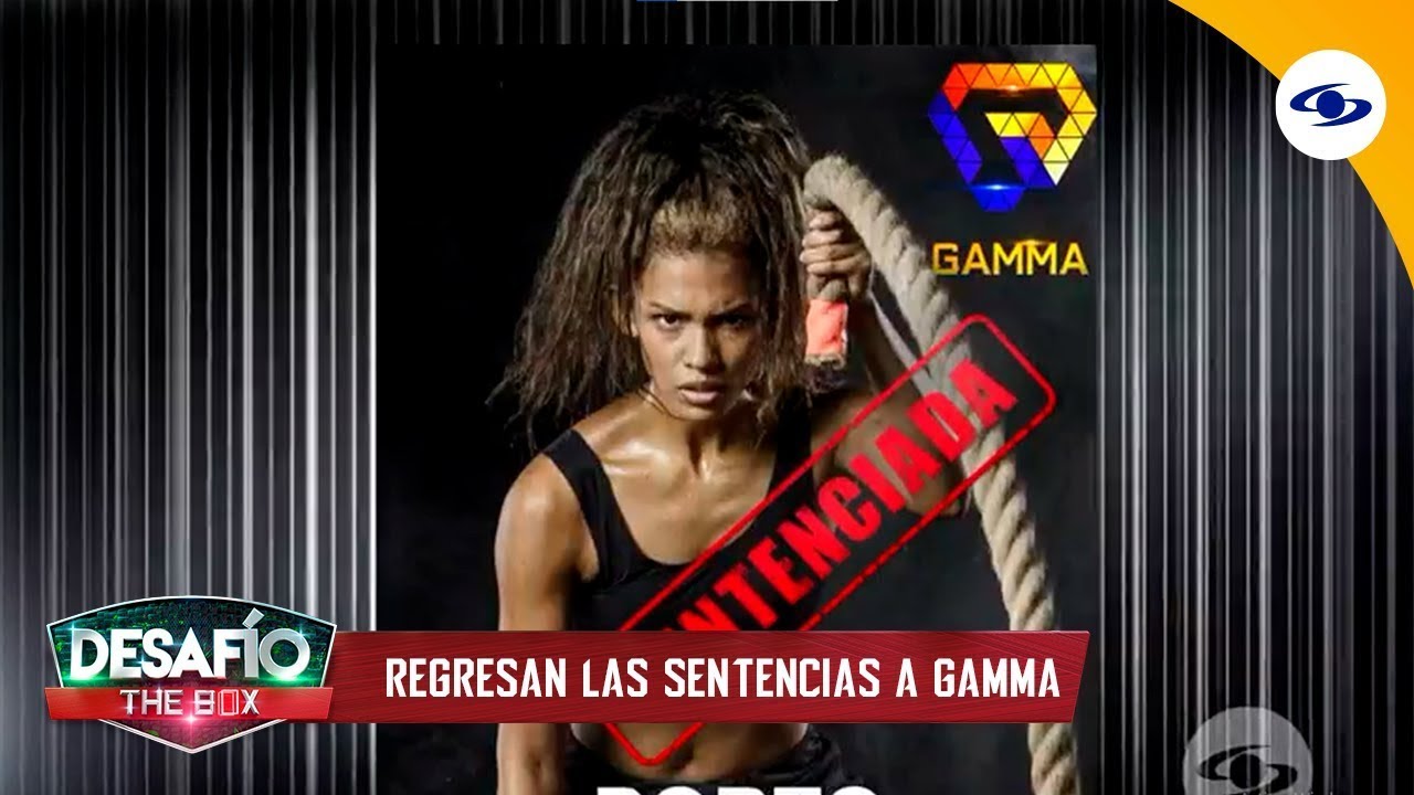 Desafío The Box 2022: Regresan las sentencias a Gamma: Porto recibe el ...
