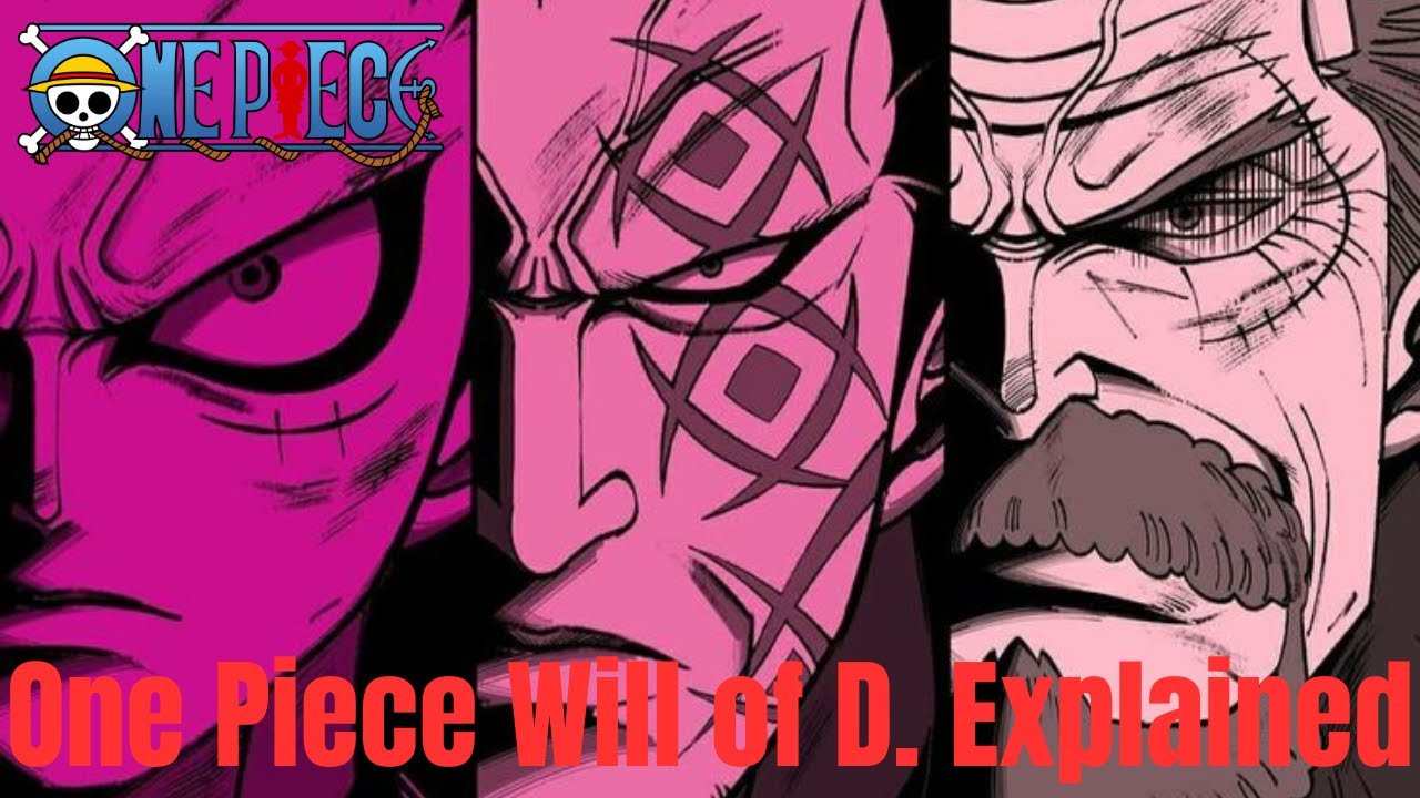 Will of D. Explained / ONE PIECE Theory/Explained - YouTube