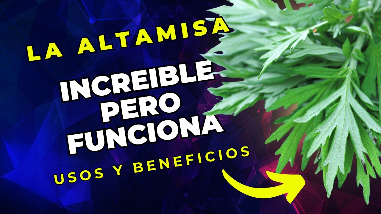 La Altamisa: La joya del Jardín que nunca conociste - YouTube