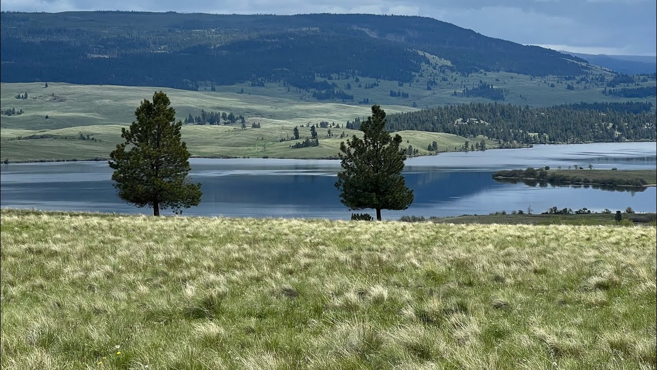 Douglas Lake Commonage moving forward step by step. - YouTube