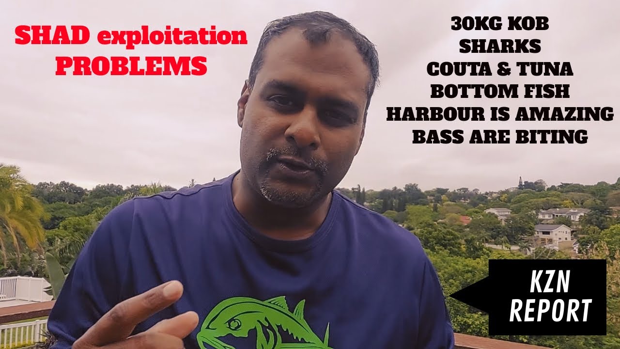 SHAD FISHING - REALLY!!! - YouTube