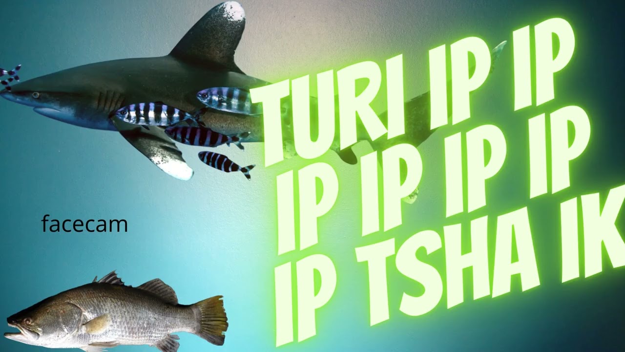 turi ip ip ip music video - YouTube