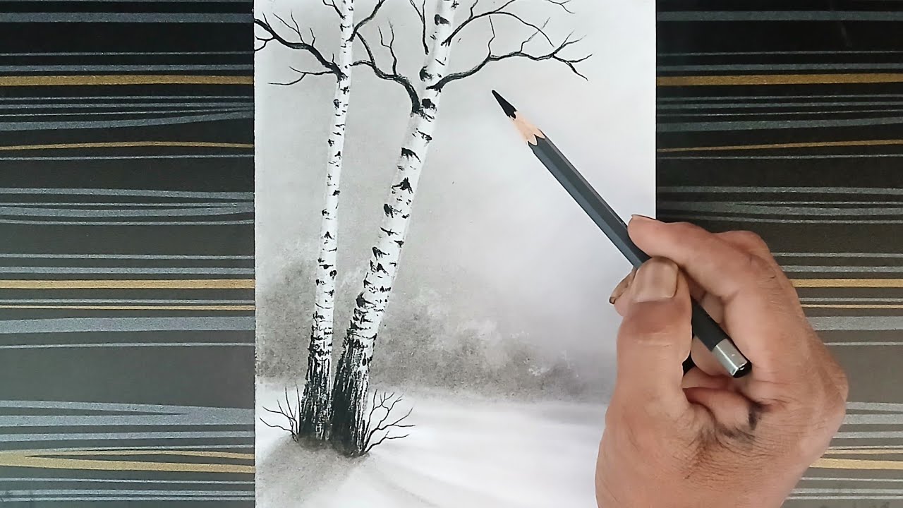 How to draw birch trees landscape for beginners. - YouTube