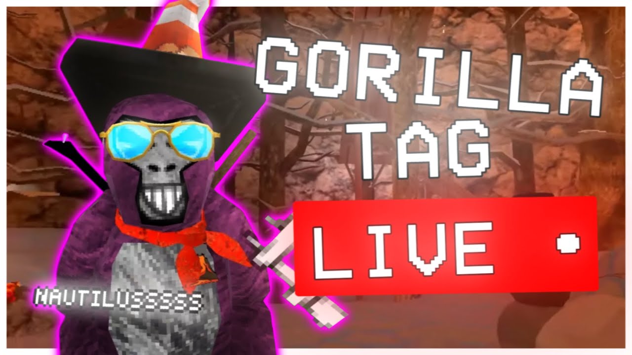 WE'RE BACK GANG (Gorilla Tag Live with Viewers!) - YouTube