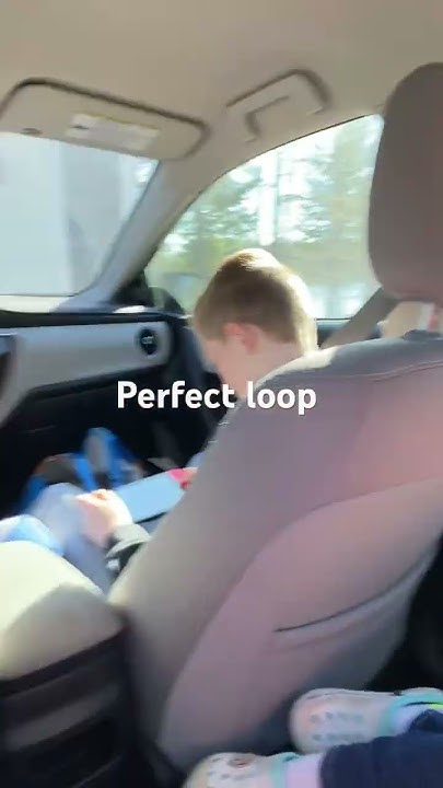 Perfect loop #funny #loop #satisfyingloop #endlessloop #perfectloop - YouTube
