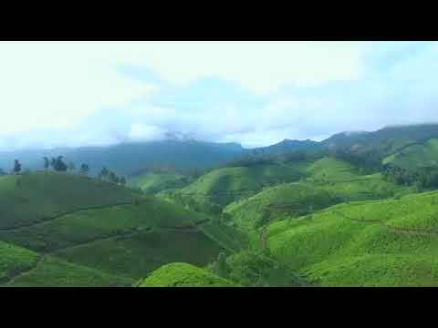 Munnar beauty WhatsApp status| Beautiful scenery| Nature Status for Whatsapp|