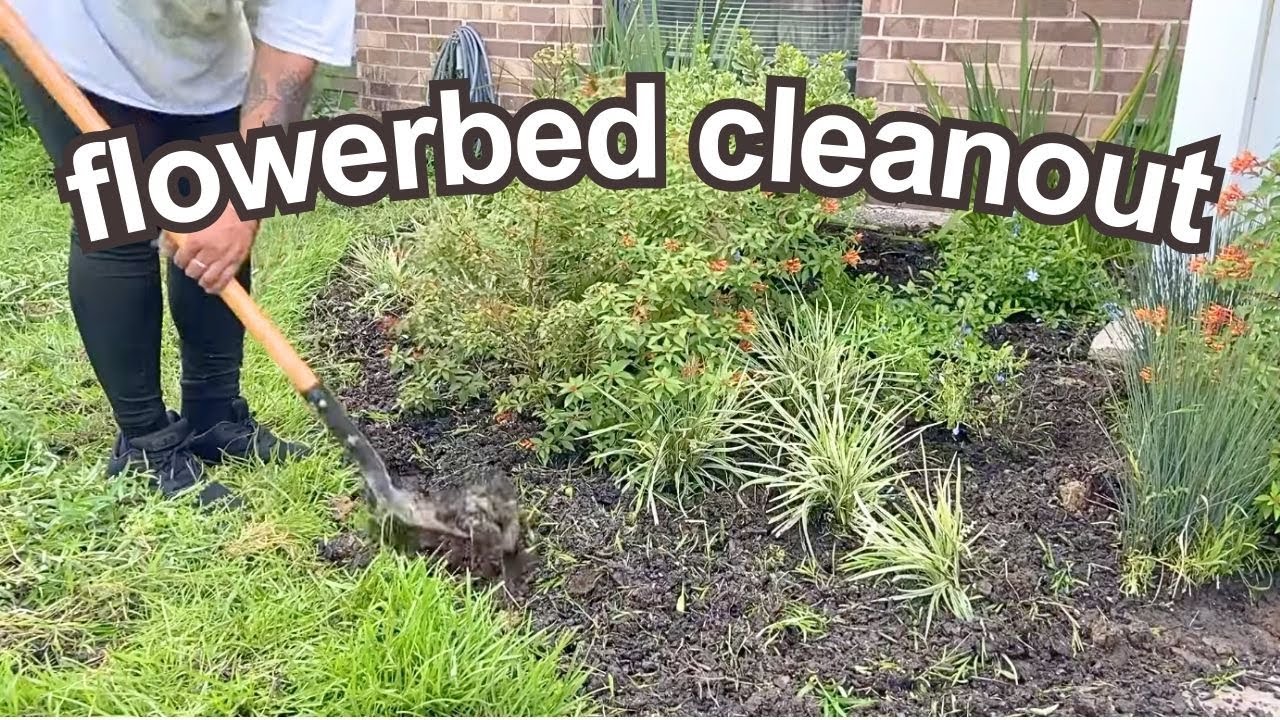 Satisfying Overgrown Flower Bed Clean Out | Weeding, Deadheading ...