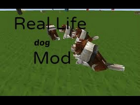 MInecraft In Real Life Dogs Mod Showcase! - YouTube