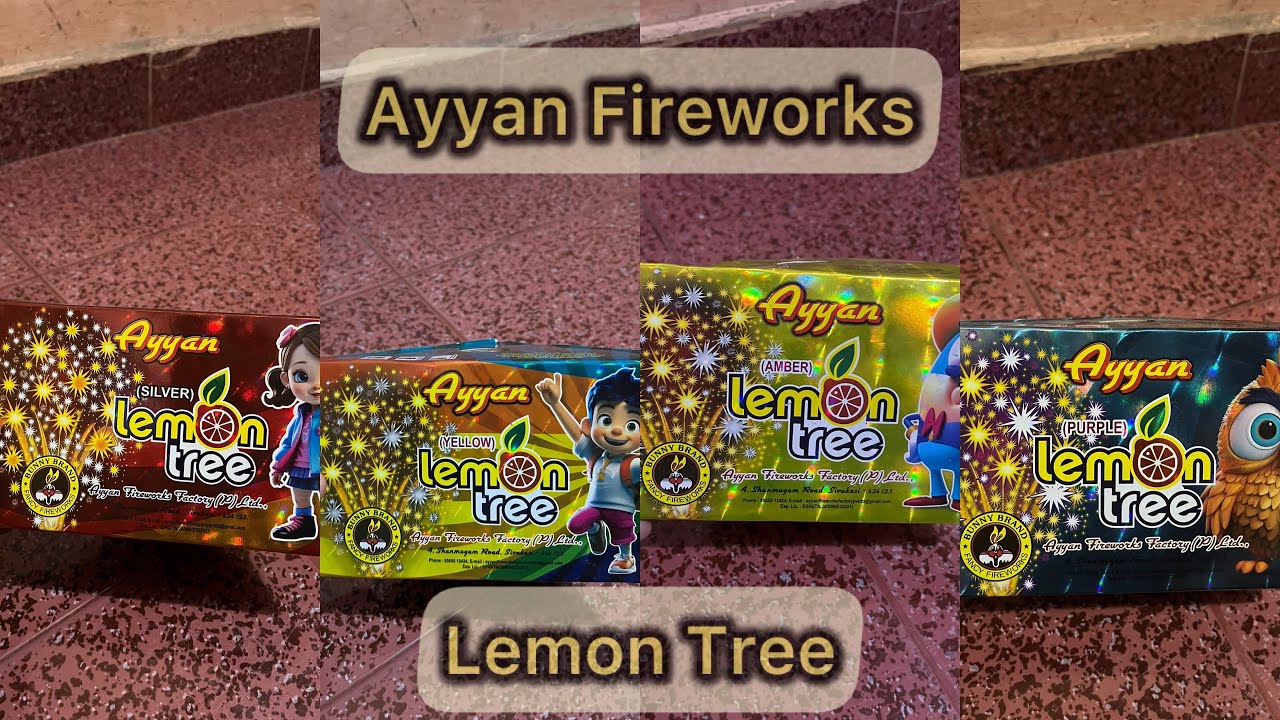 Ayyan Fireworks Lemon Tree #fireworks #shorts #trending #pyro #pattasu ...