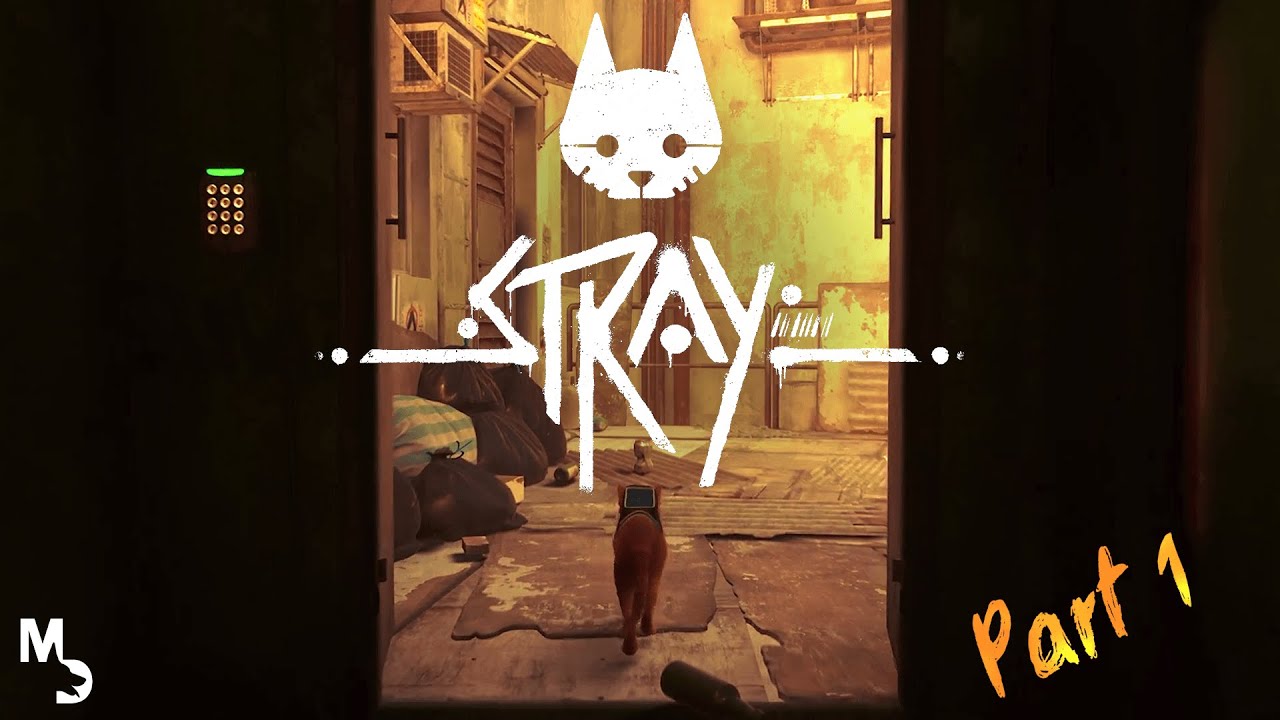 Stray - Part 1 - Gameplay (No Commentary) - YouTube