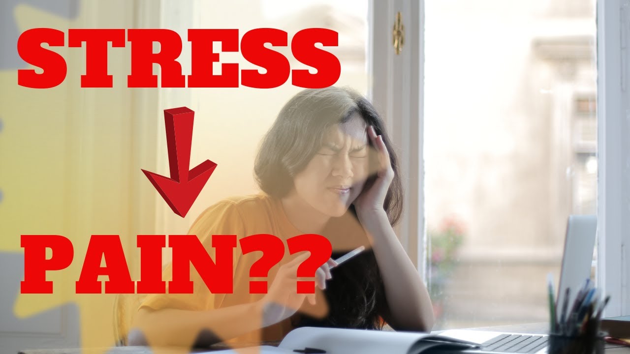 Stress and Pain - The Brain-Body Connection - YouTube