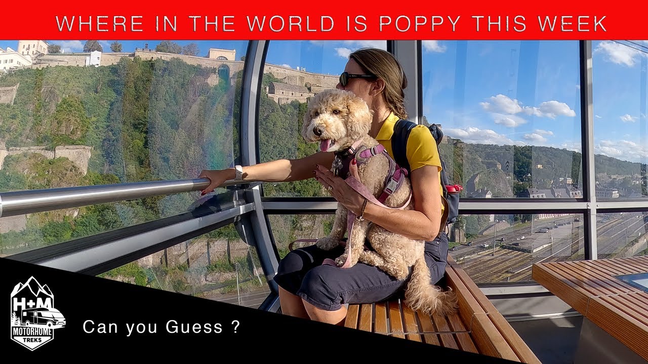 Where is Poppy this week - can you guess which not to be missed ...