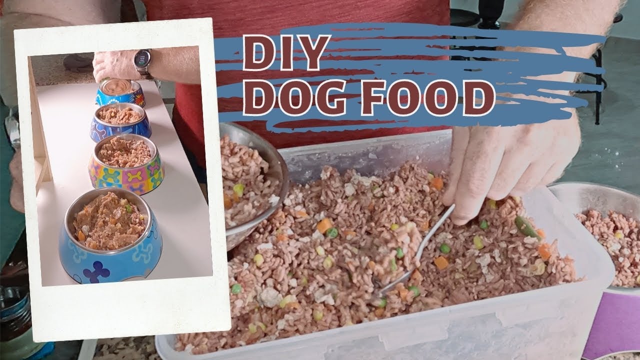 DIY Homemade Dog Food - YouTube