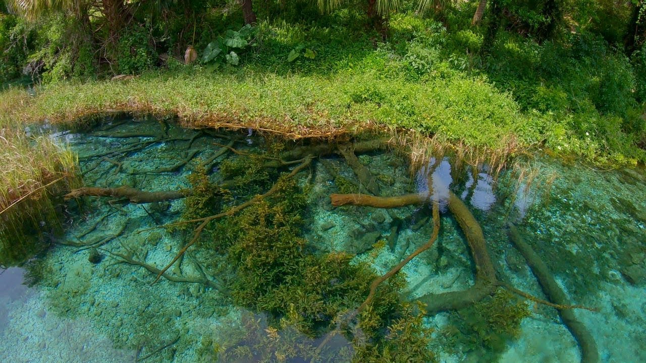 Solar Eclipse Paddleboard Rainbow Springs BEAUTIFUL Underwater Scenes ...