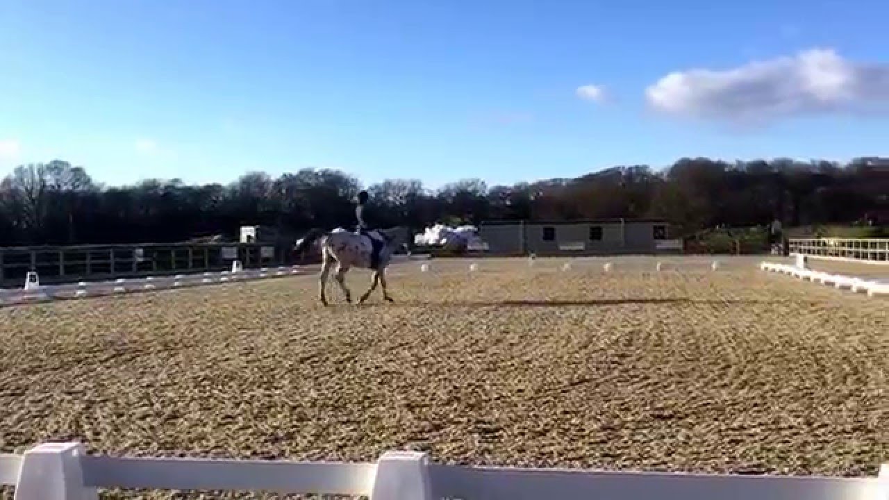 British Dressage novice 24 - YouTube