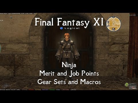 FFXI Recommended Ninja Gear Sets and Macros - YouTube