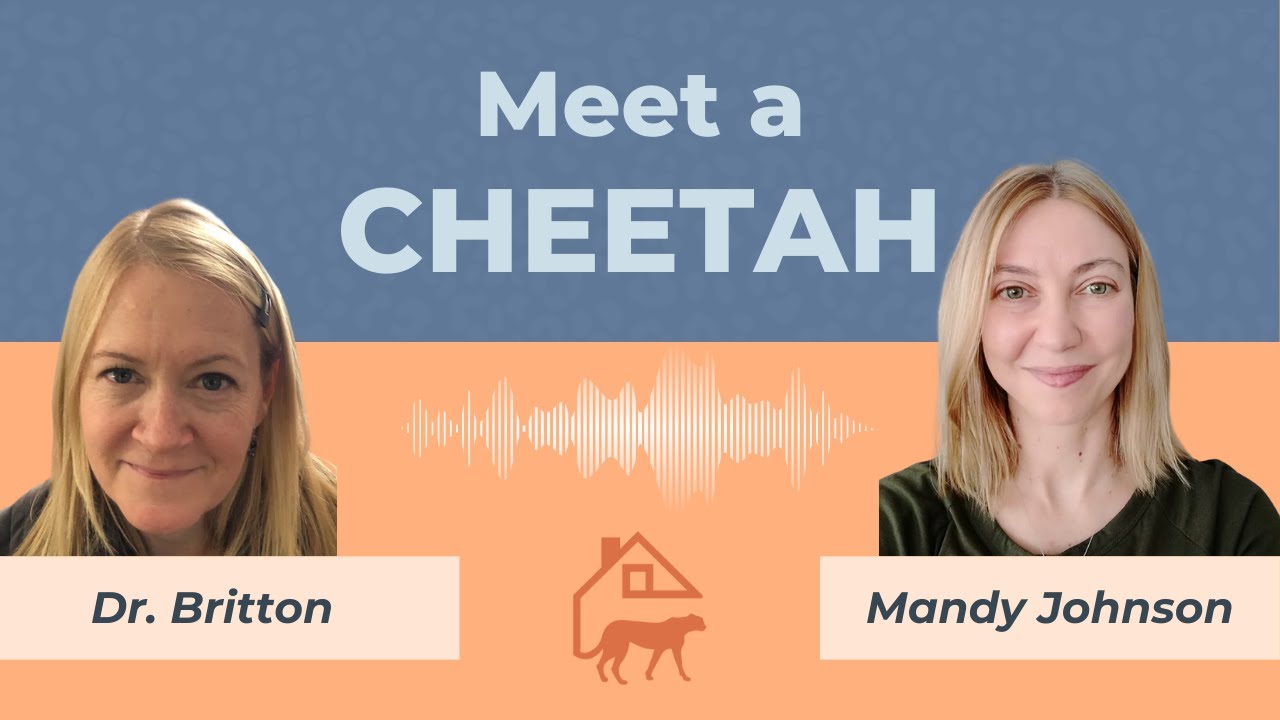 Meet a Cheetah Episode 2: Mandy Johnson - YouTube