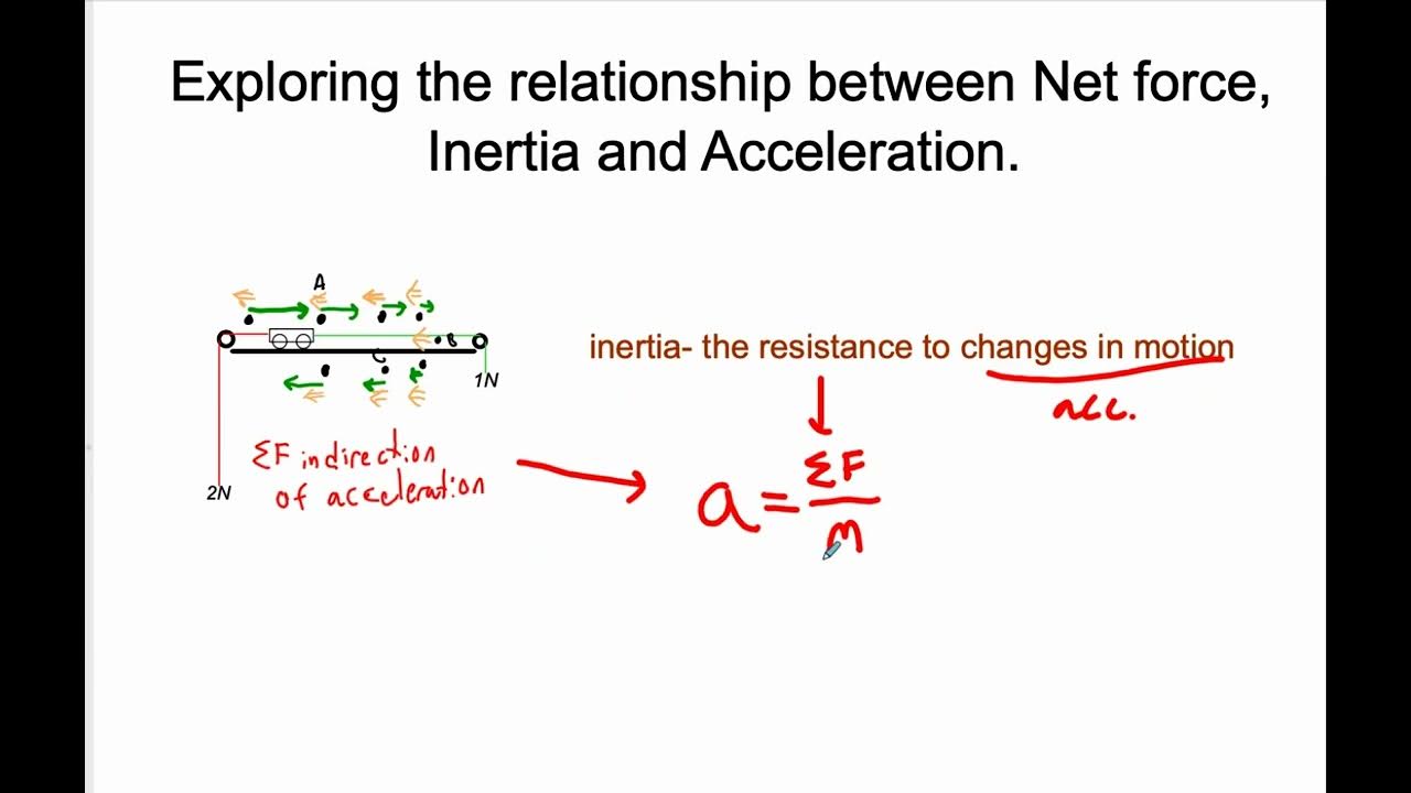 Relationship Between Net Force Inertia and Acceleration - YouTube