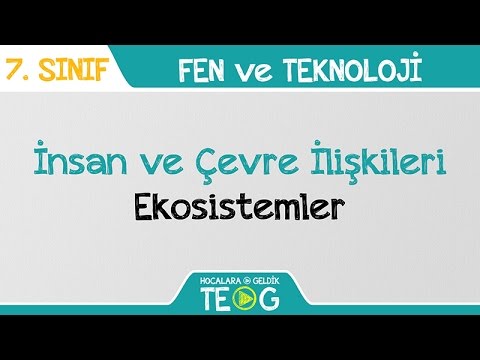 İnsan ve Çevre İlişkileri - Ekosistemler