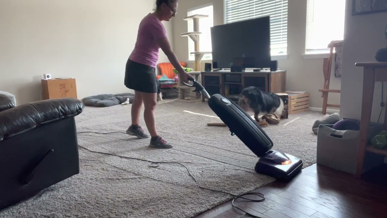 Vacuuming w:sniff box - YouTube