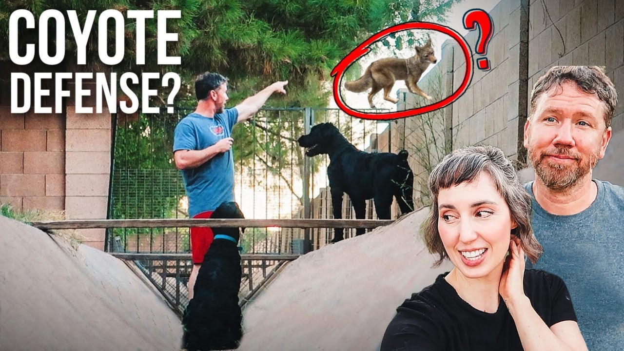 Wolf Tree Ranch – Nigerian Dwarf Dairy Goats