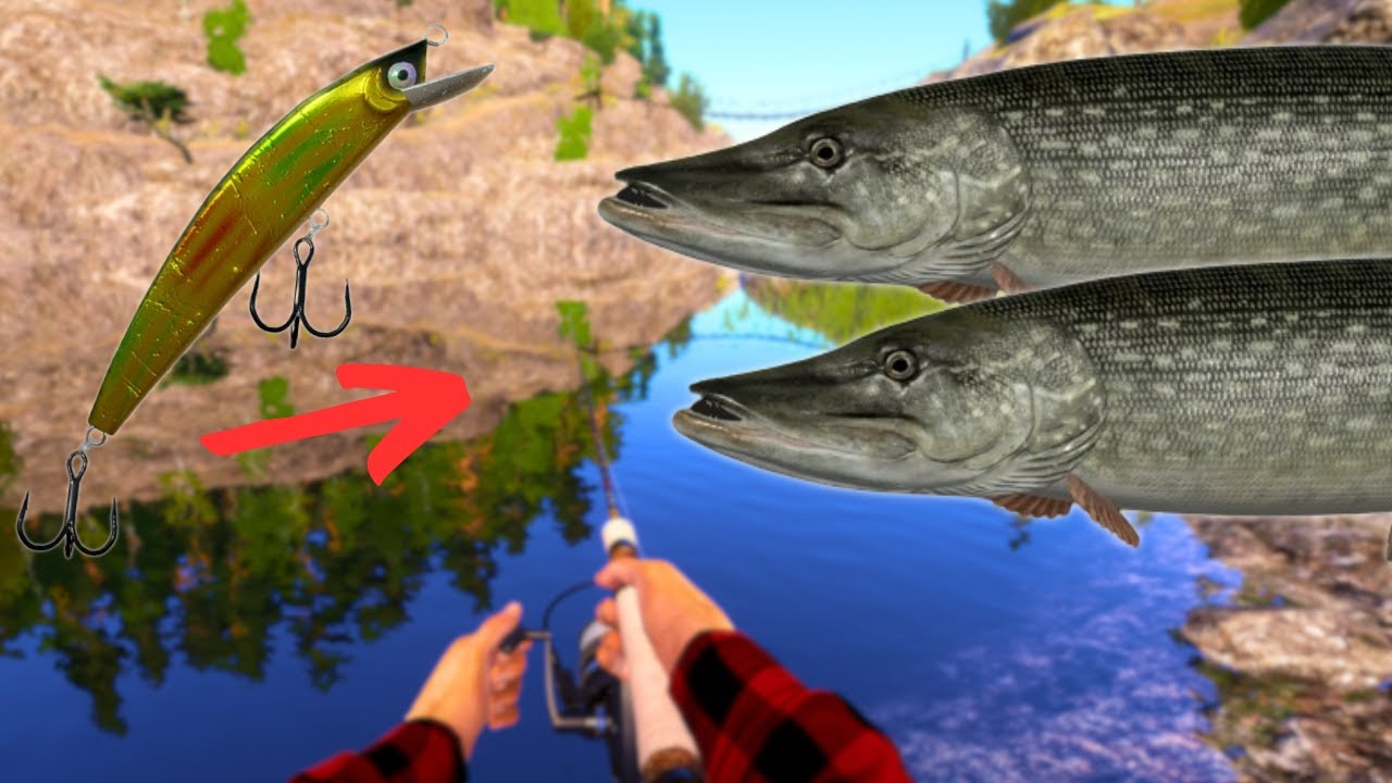 PIKE FARM SPOT IN LADOGA LAKE! #952 Russian fishing 4 - YouTube
