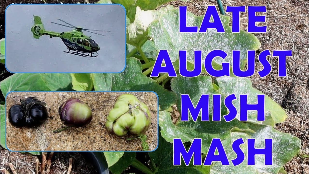 A Mish Mash Video for Late August - YouTube