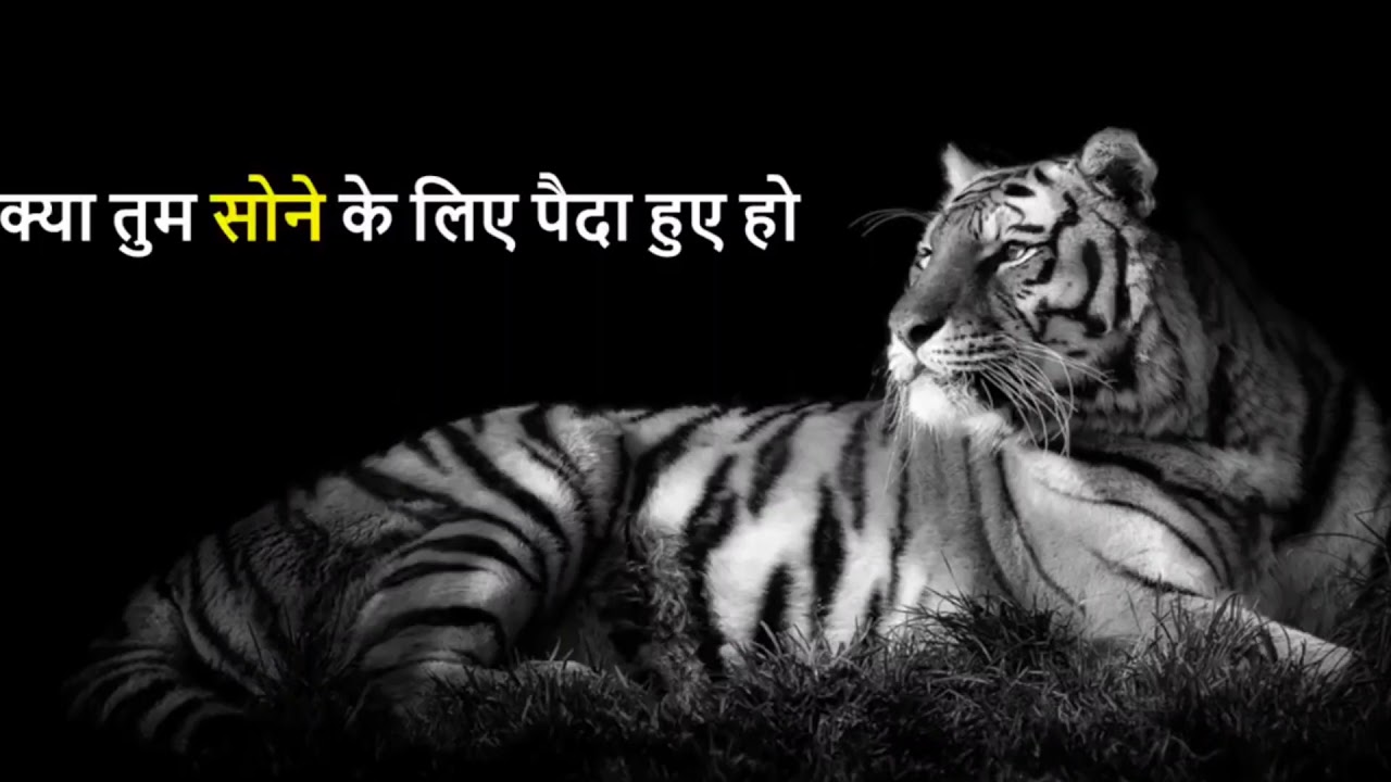 Best motivational video for class(9th,10th,11th,12th) students ...